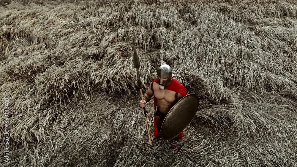Shirtless spartan in armor in dry field. Stock Video | Adobe Stock
