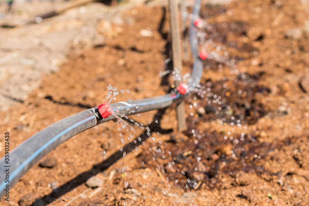 Sprinkler systems, drip irrigation, watering lawns. Drip Irrigation ...