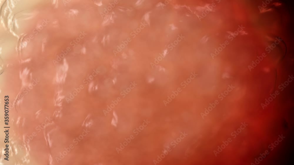 Sperm. Spermatozoon inside human egg cell. Realistic 3d animation Stock ...