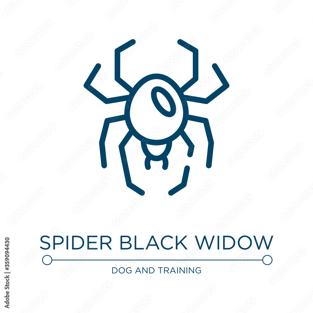Spider black widow icon. Linear vector illustration from insects ...