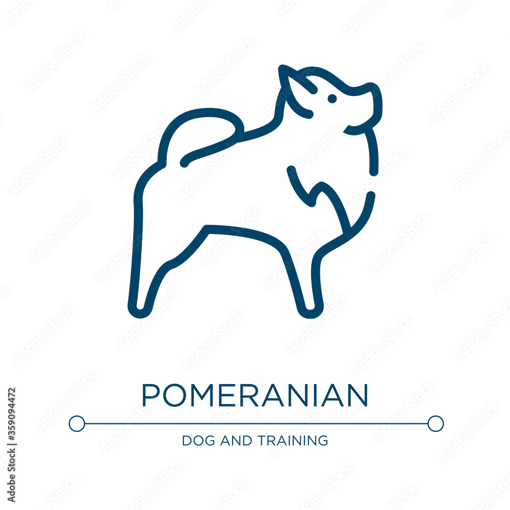 Pomeranian icon. Linear vector illustration from dog breeds fullbody ...
