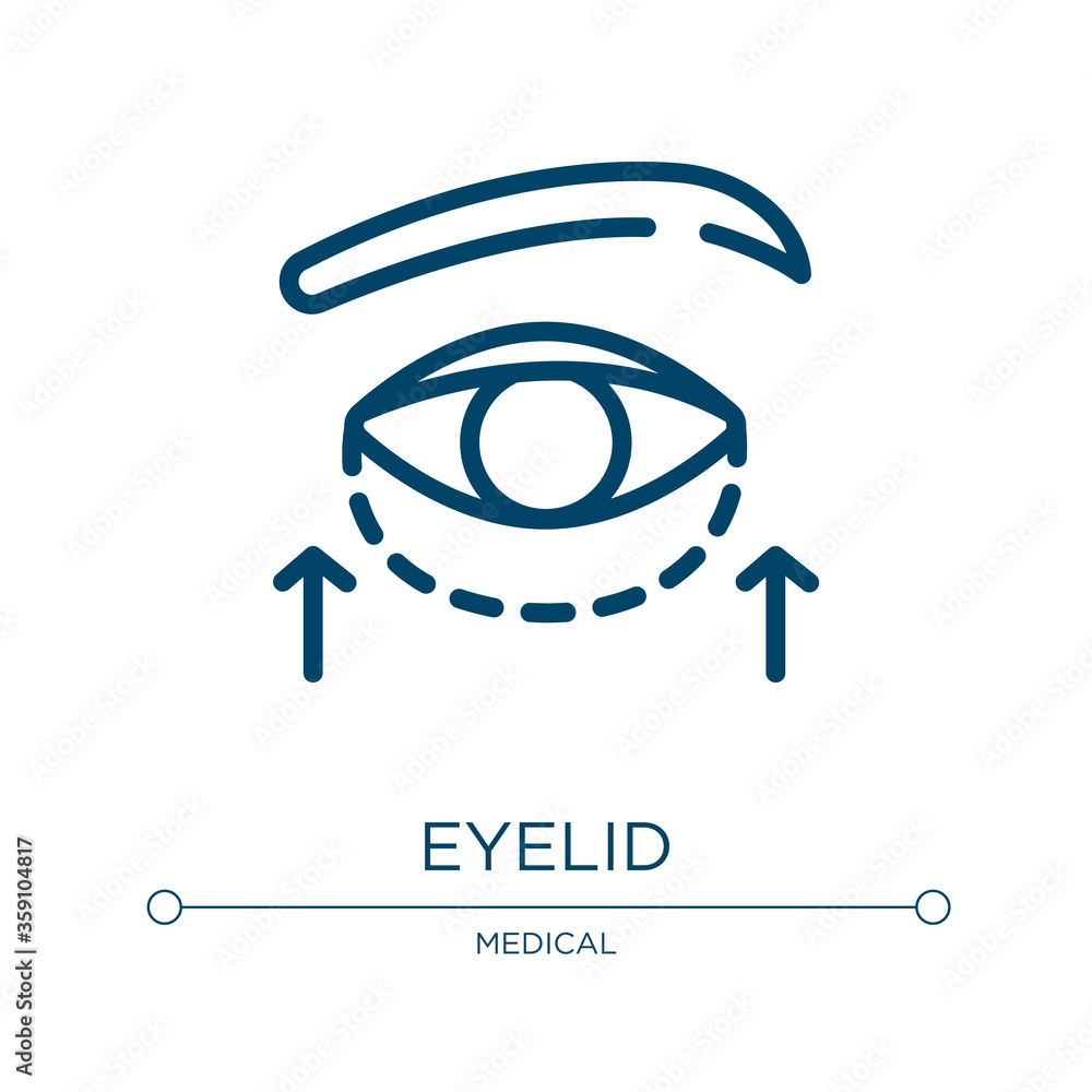 Eyelid icon. Linear vector illustration from plastic surgery collection ...