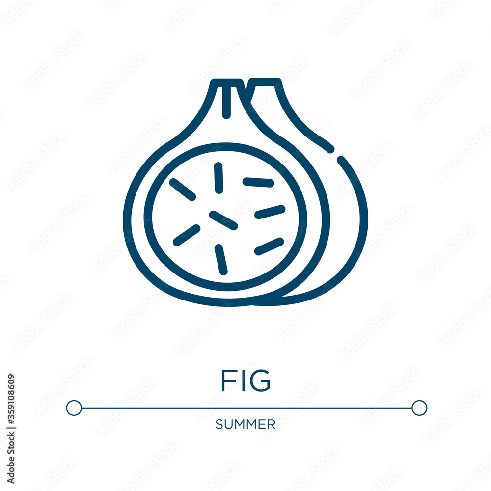 Fig icon. Linear vector illustration from summer collection. Outline ...