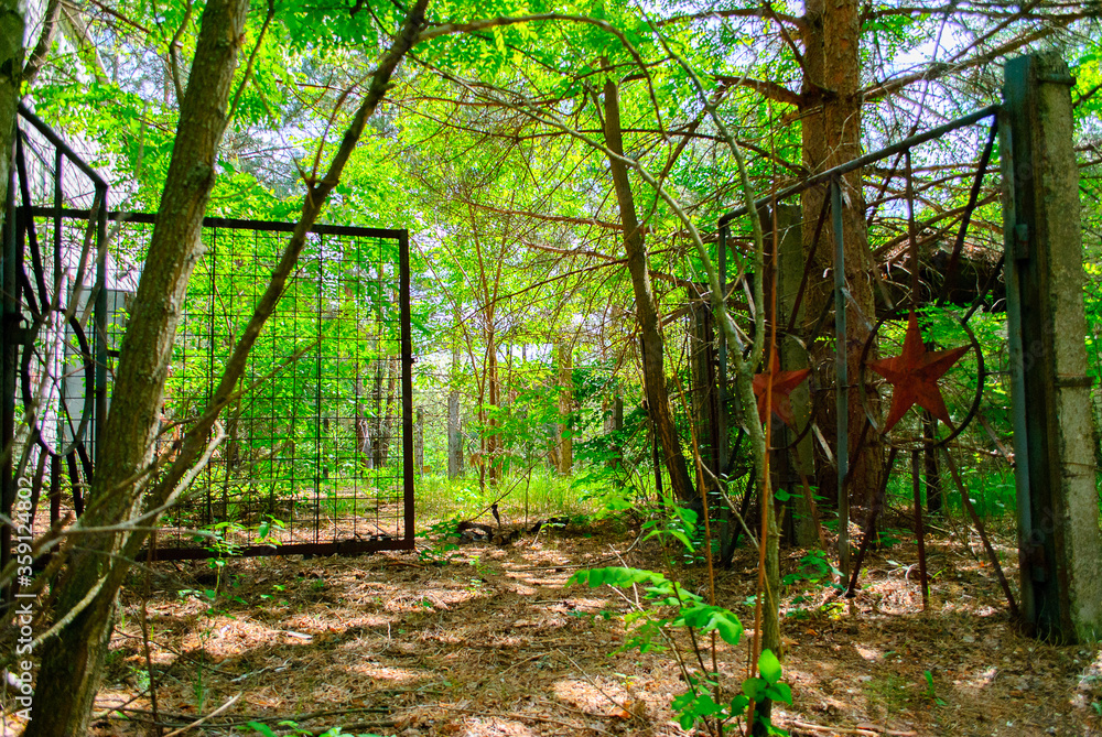 Nature and ruins in Chernobyl, a town in Ukraine, famous by the nuclear ...