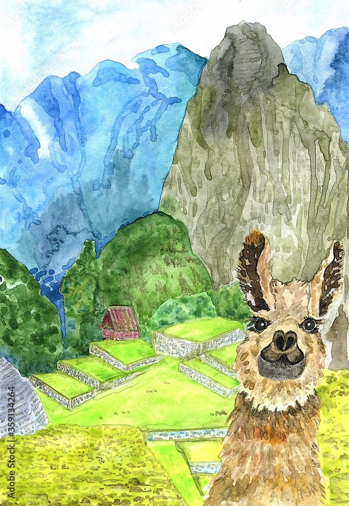 watercolor illustration of a cute fluffy llama standing on Machu Picchu ...