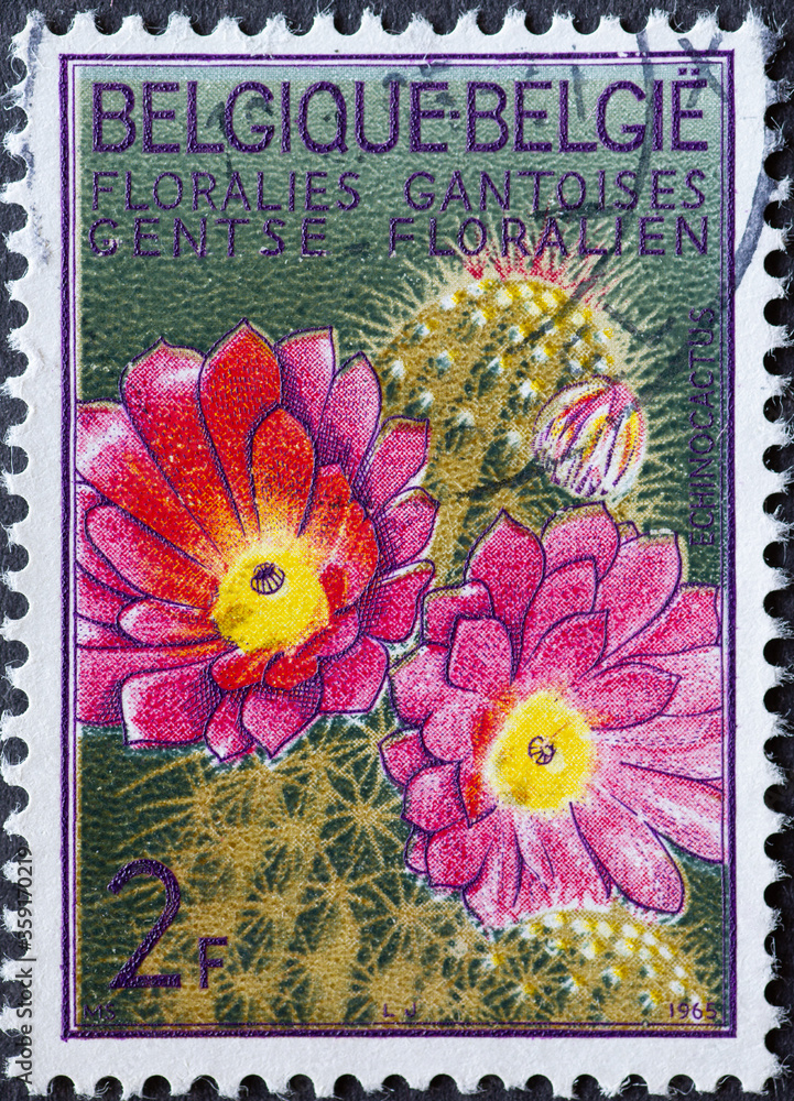 BELGIUM - CIRCA 1965: A postage stamp from Belgium showing a flowering ...