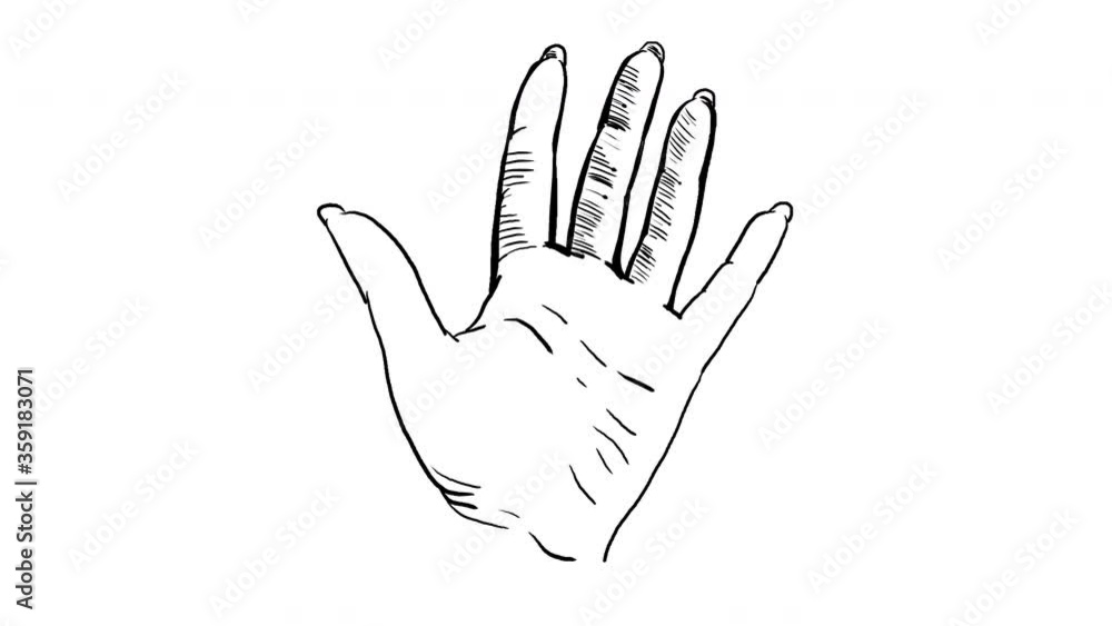 Hand drawing, animation graphic sketch of a palm hand on a white ...