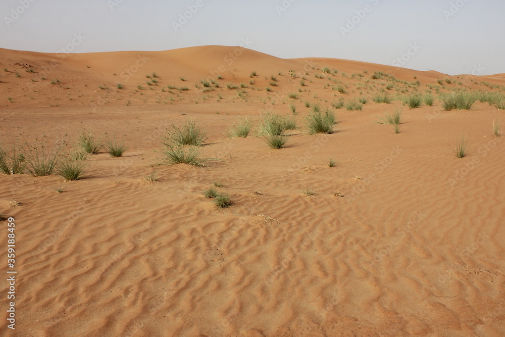 Hot and arid desert sand dunes terrain in Sharjah emirate in the United ...