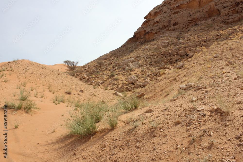 Hot and arid desert sand dunes terrain in Sharjah emirate in the United ...