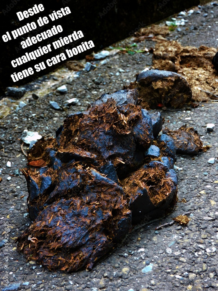 Caca de vaca con frase foto de Stock | Adobe Stock