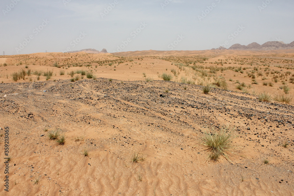 Hot and arid desert sand dunes terrain in Sharjah emirate in the United ...