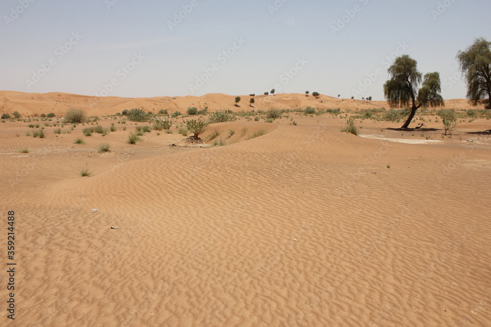 Hot and arid desert sand dunes terrain in Sharjah emirate in the United ...