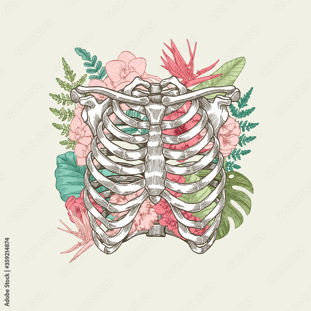 Exotic florals vintage rib cage illustration. Floral anatomy Stock ...