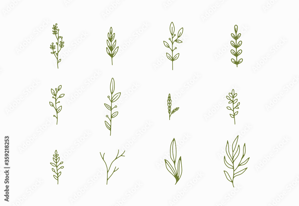 tiny simple botanical illustrations, line artwork, minimal design ...
