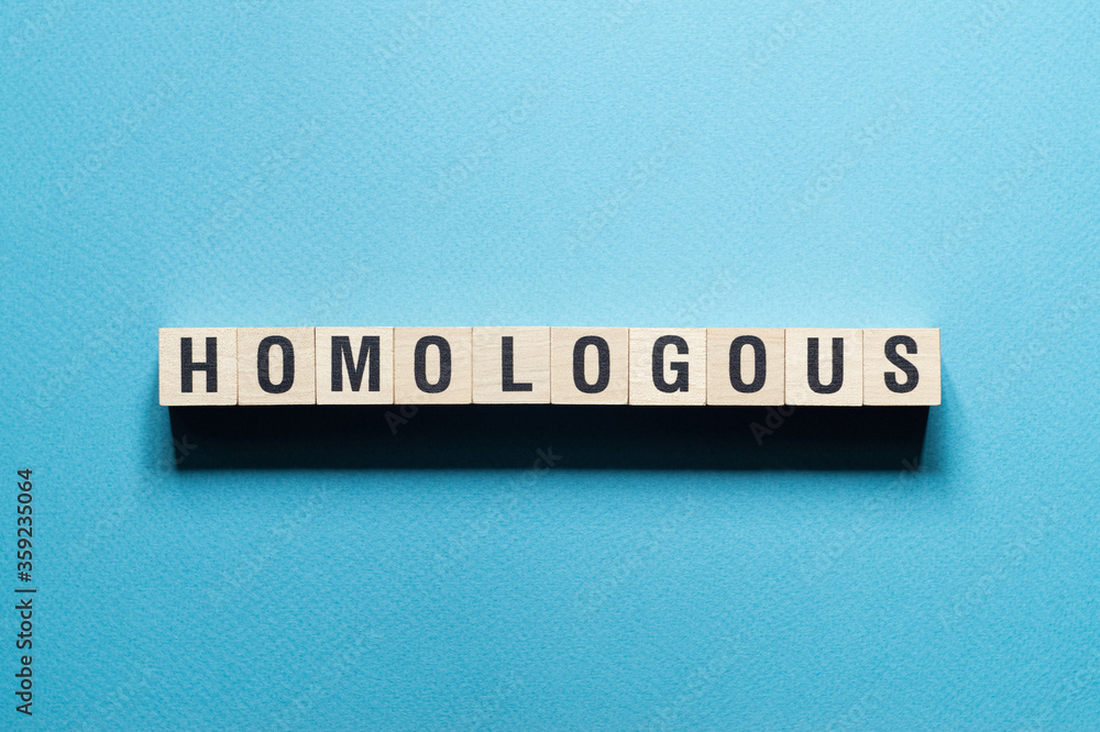 Homologous word concept on cubes Stock Photo | Adobe Stock