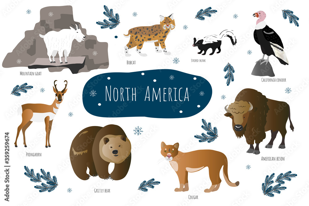 Vector collection with north american animals. Illustration with cute ...