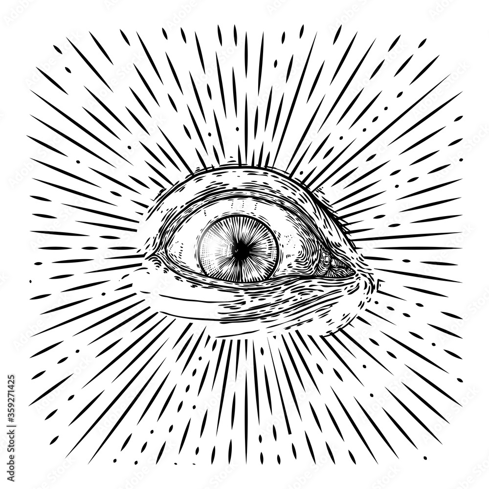 All seeing eye or Eye of Providence on decorative background sacred ...
