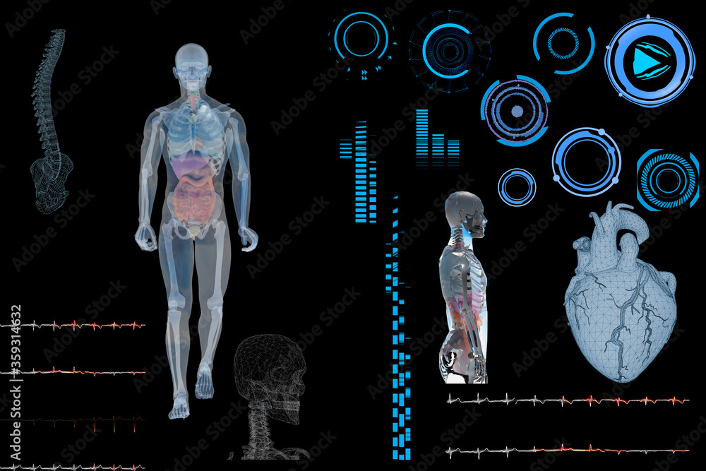 medical Interface, analysis of Human Male Anatomy Scan on Futuristic ...