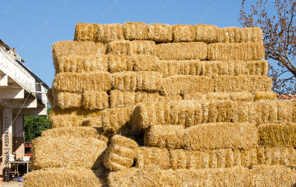 Dry baled hay stack, rural countryside background. Rural land cowshed ...