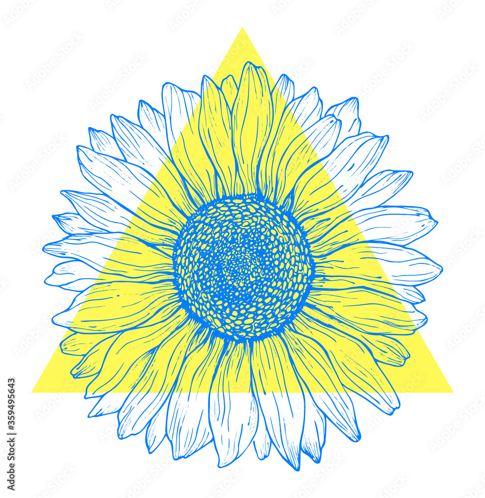 Yellow Triangle Outline