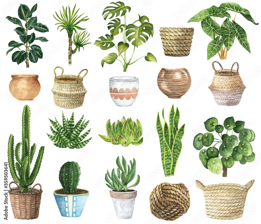 Watercolor House Plants Clipart. Indoor Plants Elements. Monstera ...