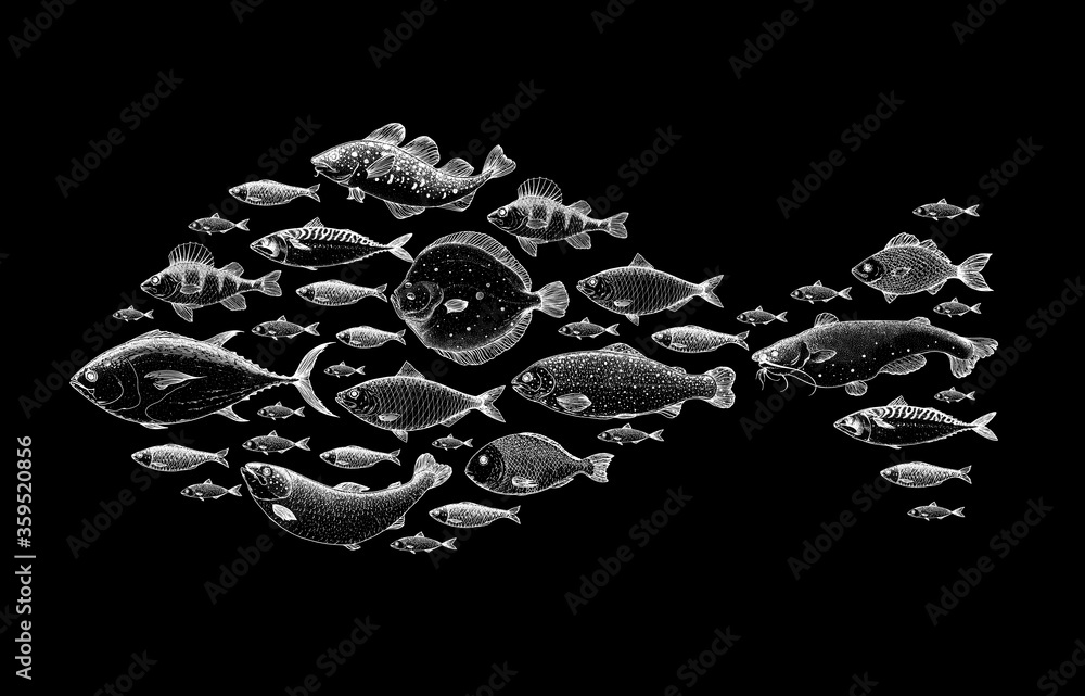 Fish sketch collection. Hand drawn vector illustration. Fish shaped ...