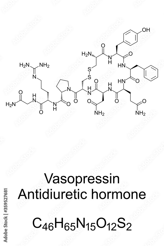 Vasopressin Structure