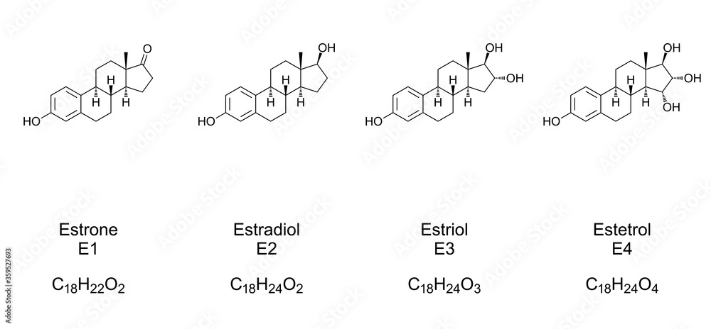 Estrogen Structure