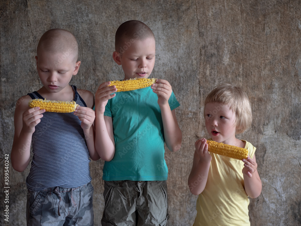 Three blond children eat young corn. boys are happy to receive their ...
