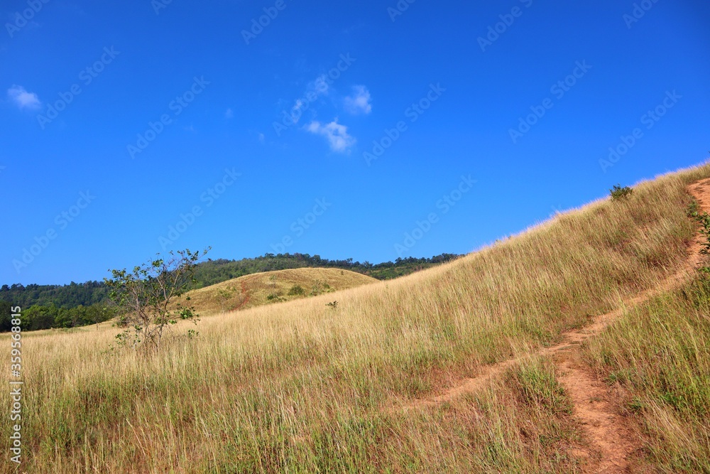 Grass Mountain beautiful in Ranong. golden field. the mountain where ...