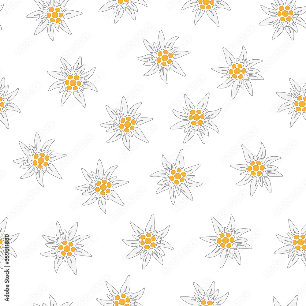 Seamless background with Edelweiss. Edelweiss in a chaotic order on a ...