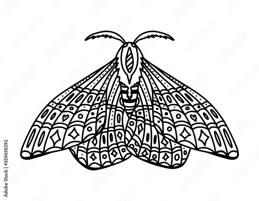 Hand drawn decorative vector illustration coloring moth. Isolated on ...