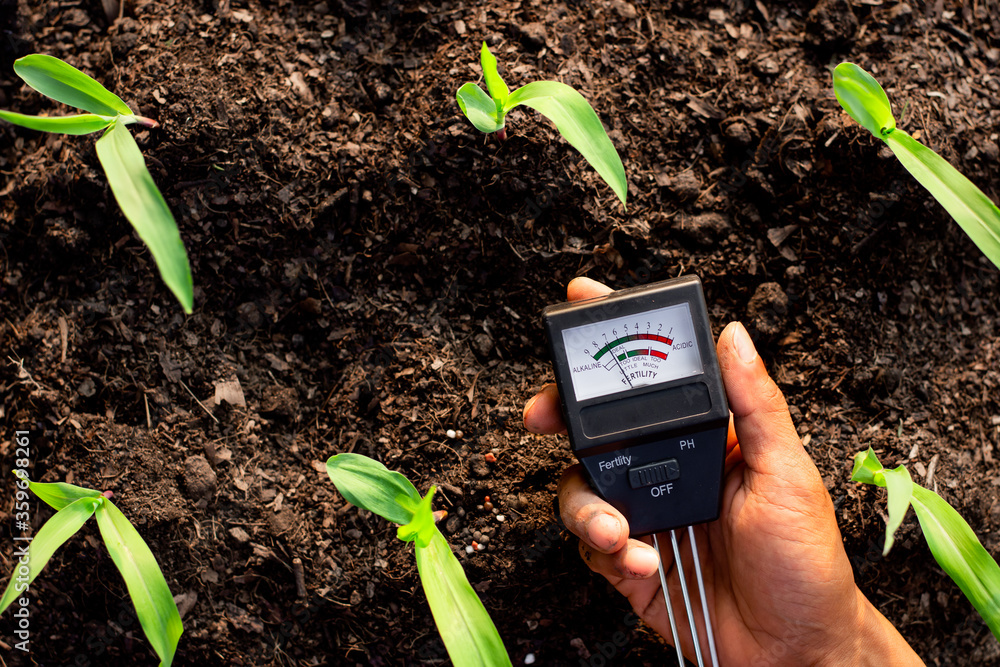 Soil meter is used on loam for planting, Measure soil acidity. Stock ...