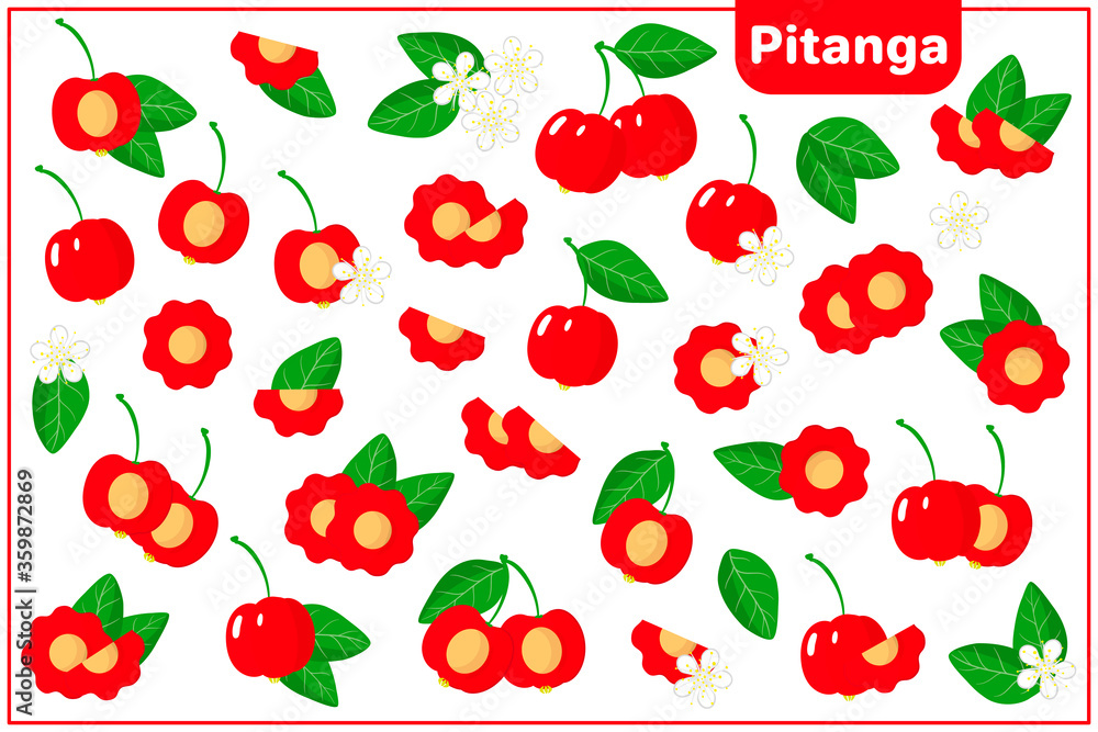 Set of vector cartoon illustrations with Pitanga exotic fruits, flowers ...