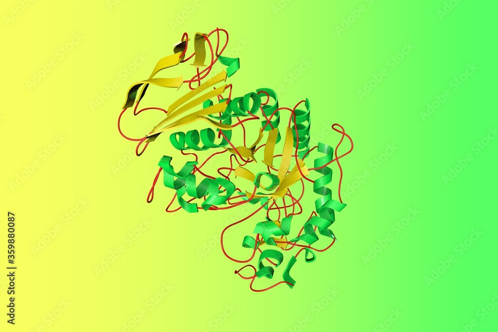 Crystal structure of human salivary amylase. Scientific background. 3d ...