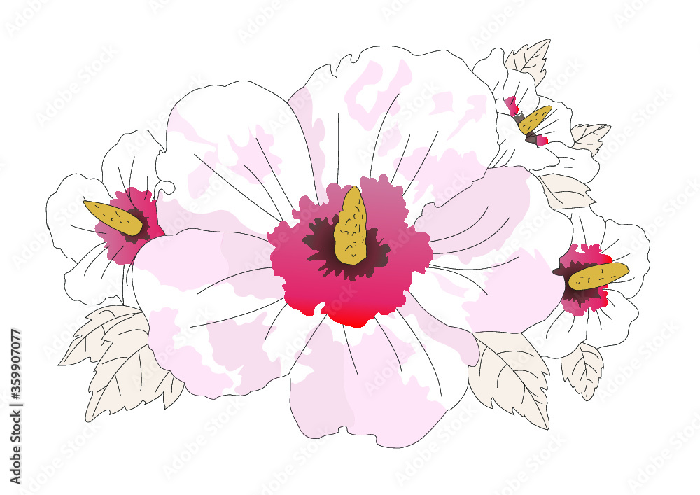 National Flower Of Korea Drawing at Celia Morgan blog