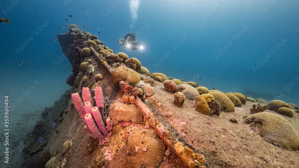 Ship wreck "Black Sand Wreck" in coral reef of Caribbean sea / Curacao ...