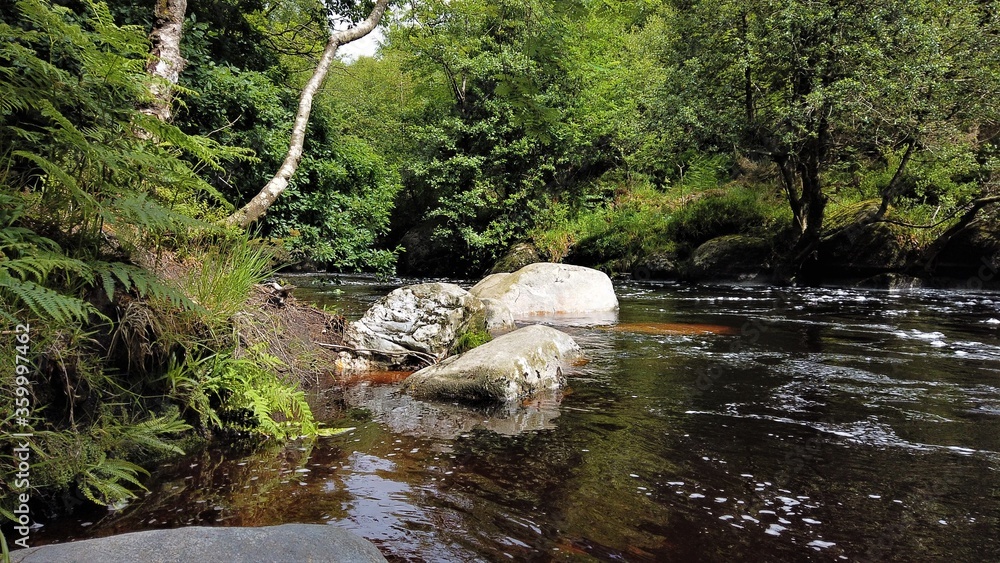 Beautiful motion blurred water stream landscape in a green forest,green ...