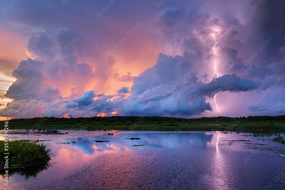 Lightning in sky during sunset over wetlands Stock Photo | Adobe Stock
