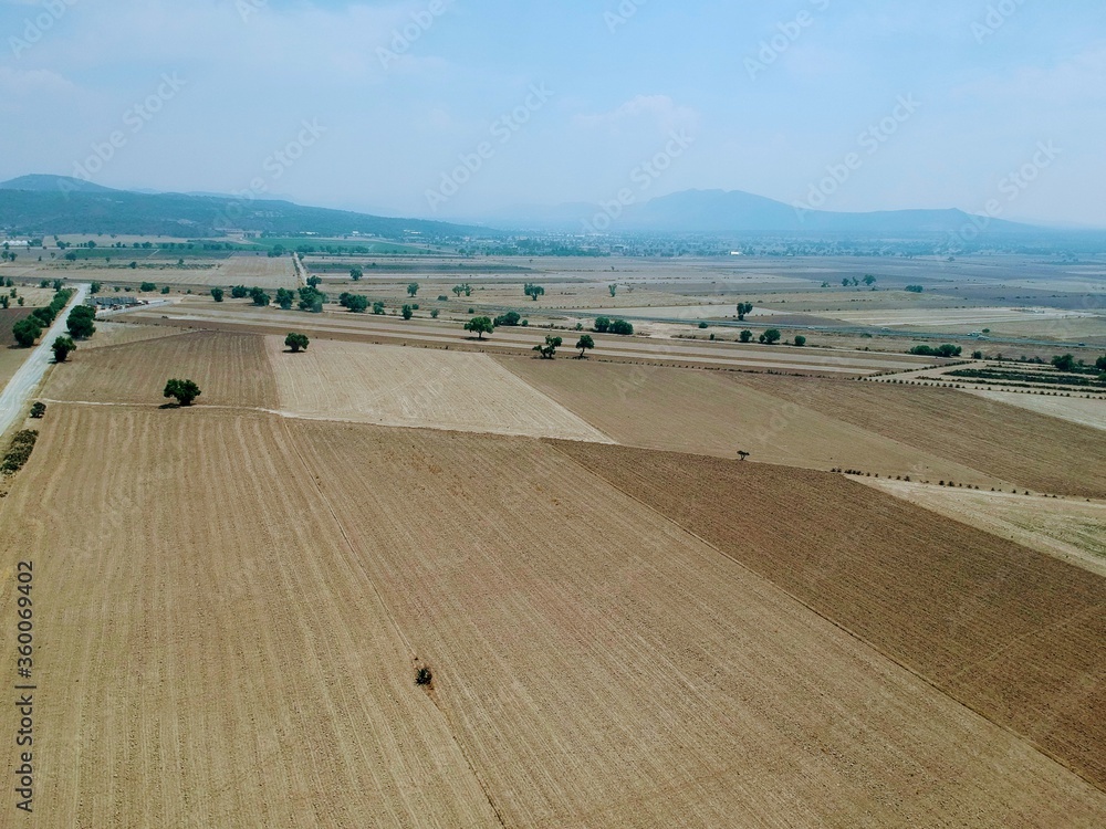 Hermosas praderas amarillas en tiempo de cosecha en hidalgo mexico Stock Photo | Adobe Stock