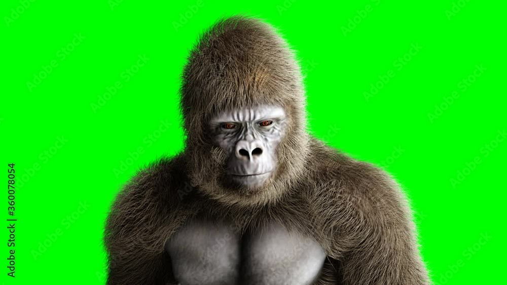 Funny brown gorilla stay idle. Super realistic fur and hair. Green ...