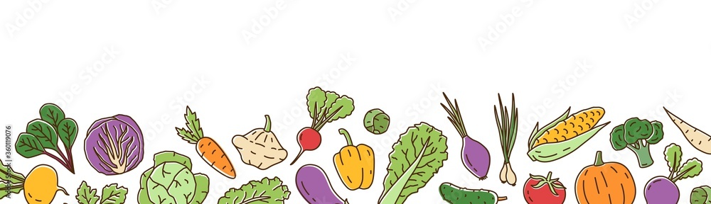 Colorful fresh organic vegetable horizontal background in line art ...