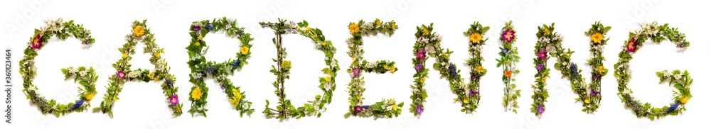 Flower, Branches And Blossom Letter Building English Word Gardening ...