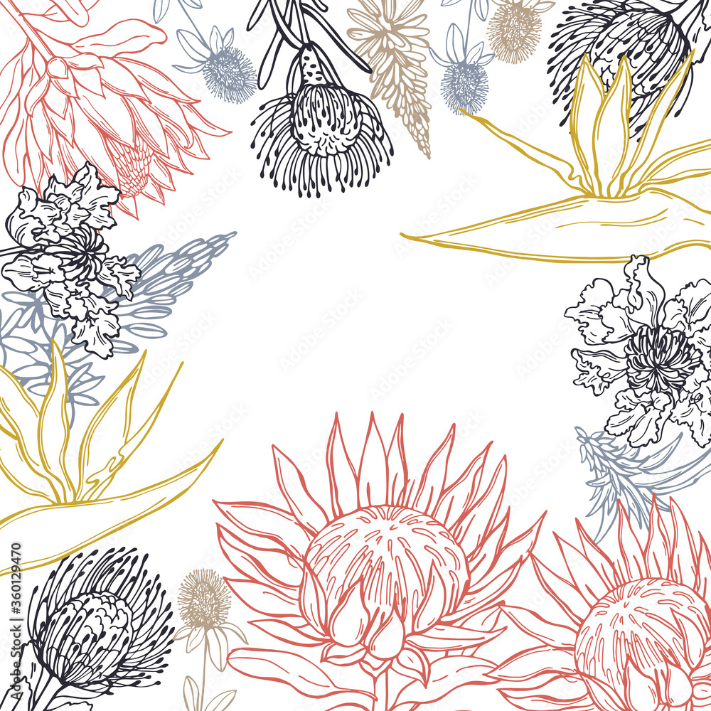 Hand drawn African flowers. Vector background. Sketch illustration ...