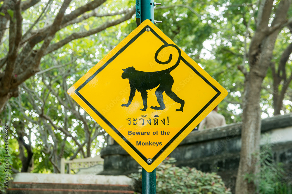 THAILAND PHETBURI SIGN DANGER MONKEYS Stock Photo | Adobe Stock