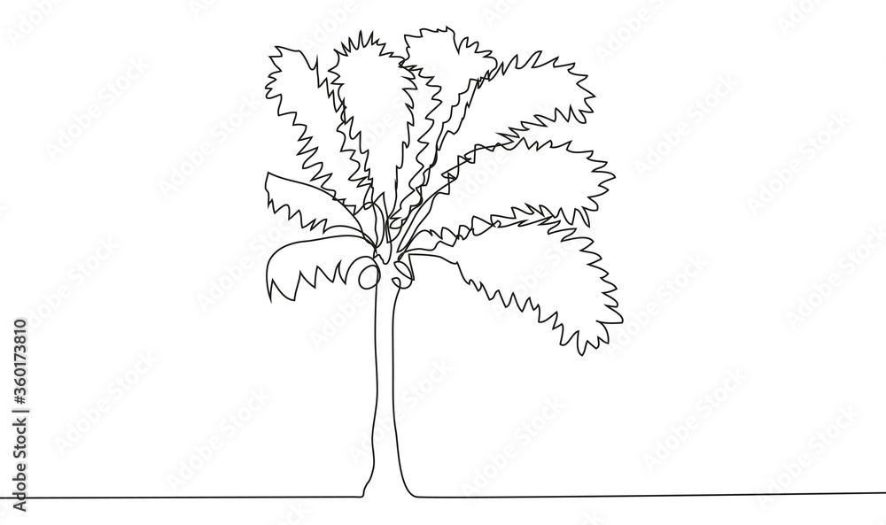 Continuous line drawing of coconut trees, nature concept, summer Stock ...