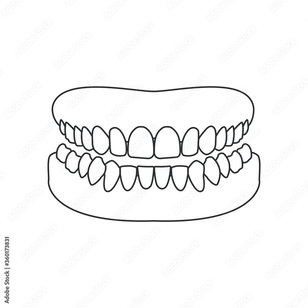 Human jaw outline icon. Human mouth, human teeth vector illustration ...