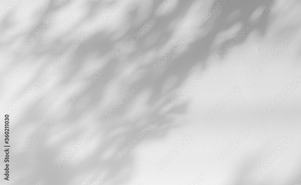 Abstract Shadows, blurred background of gray leaves and natural trees ...