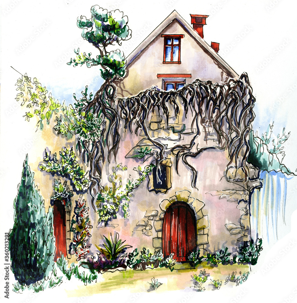 French architecture. An old house covered with greenery and tree roots ...