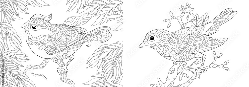 Coloring pages with two lovely birds Stock Vector | Adobe Stock